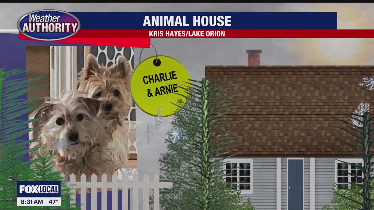 Meet Charlie & Arnie | FOX 2 Detroit