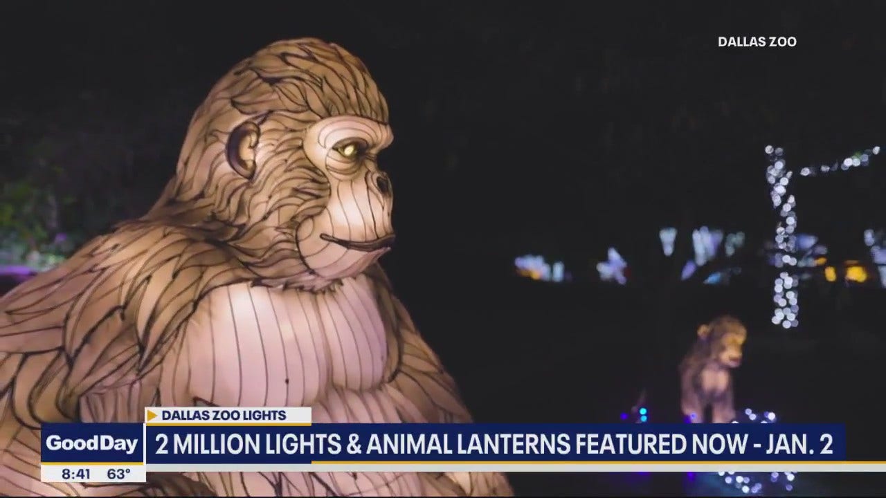 Dallas Zoo Lights features 2M lights and lanterns | FOX 4 Dallas-Fort Worth