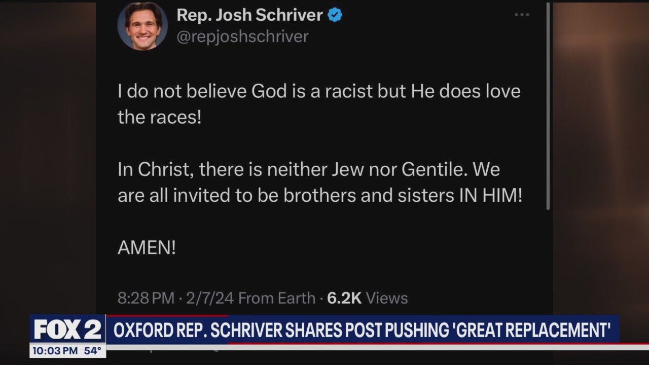 Rep. Schriver criticized for 'great replacement' post | FOX 2 Detroit