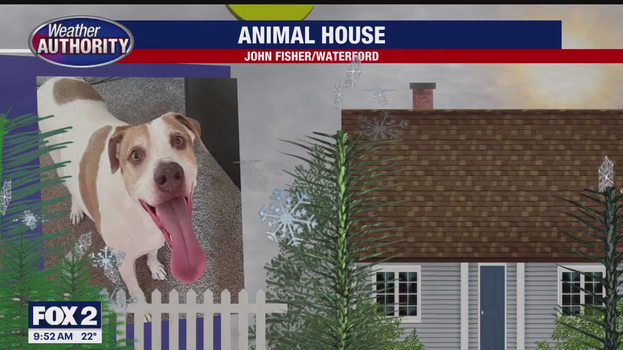 Meet Jake | FOX 2 Detroit