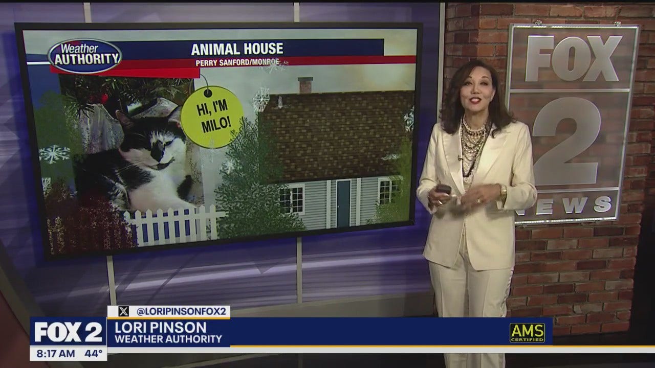 Meet Milo | FOX 2 Detroit