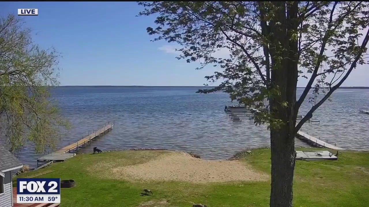 Quiet Monday | FOX 2 Detroit