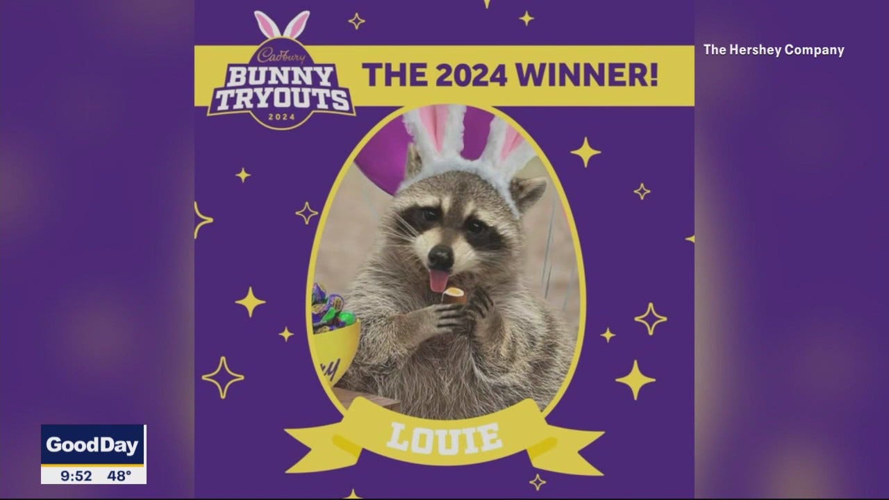 Talkers: Racoon wins Cadbury Bunny contest | FOX 4 Dallas-Fort Worth