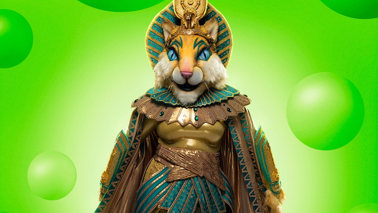 'Masked Singer' costume revealed ahead of Season 11 | LiveNOW from FOX