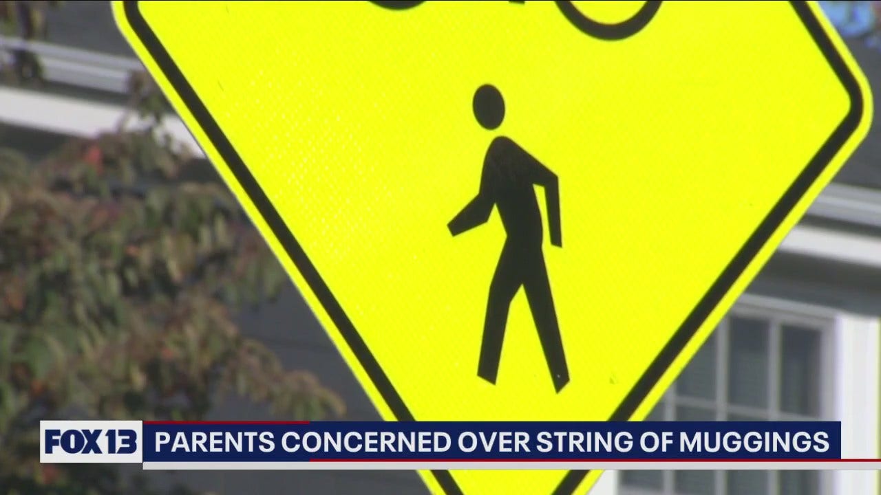 Parents concerned over string of muggings | FOX 13 Seattle