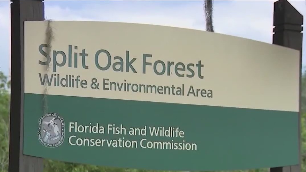 Battle to preserve Split Oak Forest