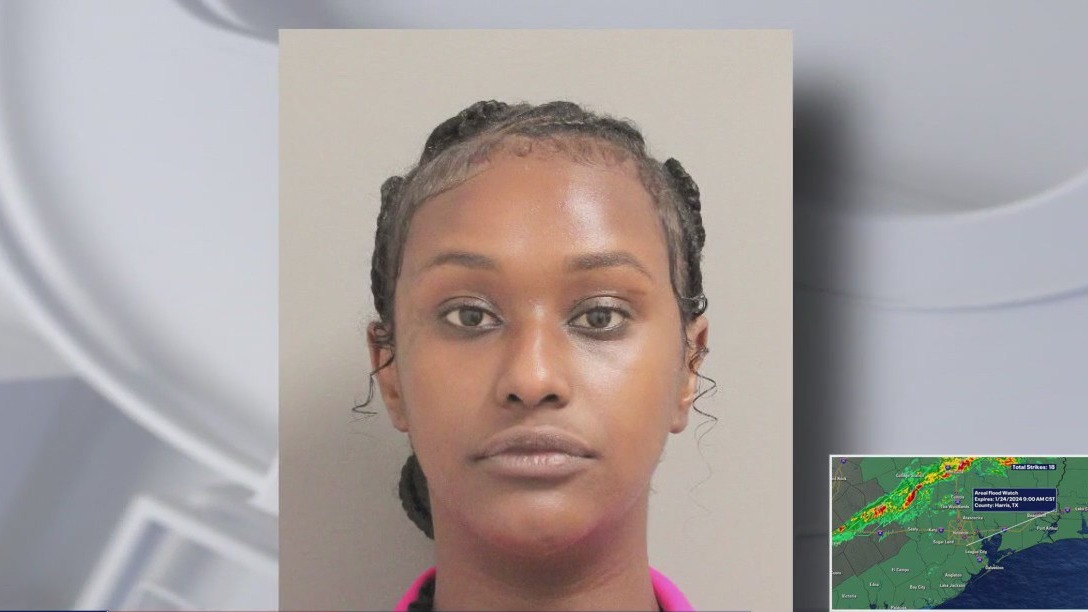 'Brick lady' turns herself in to police | FOX 26 Houston