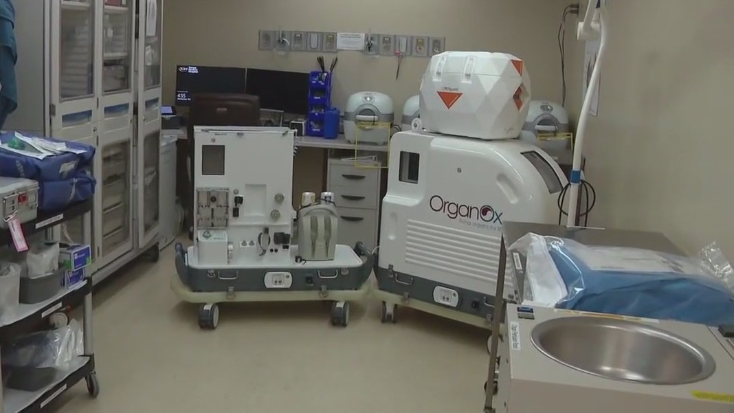 TGH going high-tech for organ transplants | FOX 13 Tampa Bay