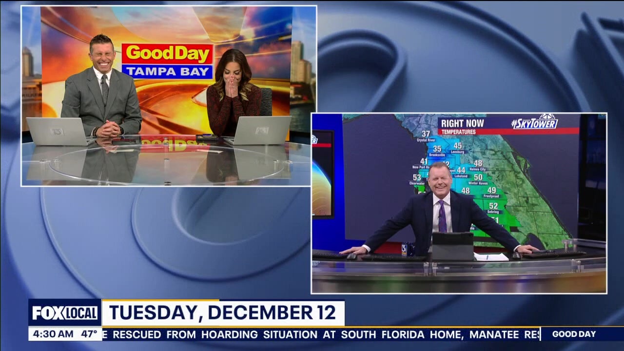 Good Day Goodies | FOX 13 Tampa Bay