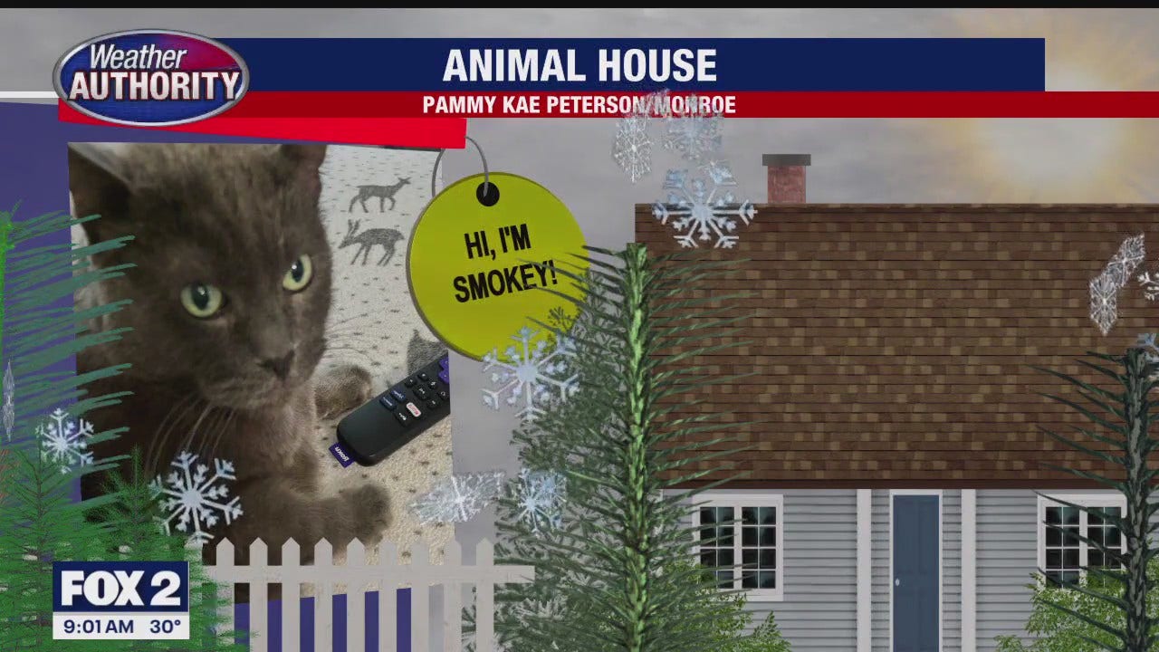Meet Smokey | FOX 2 Detroit
