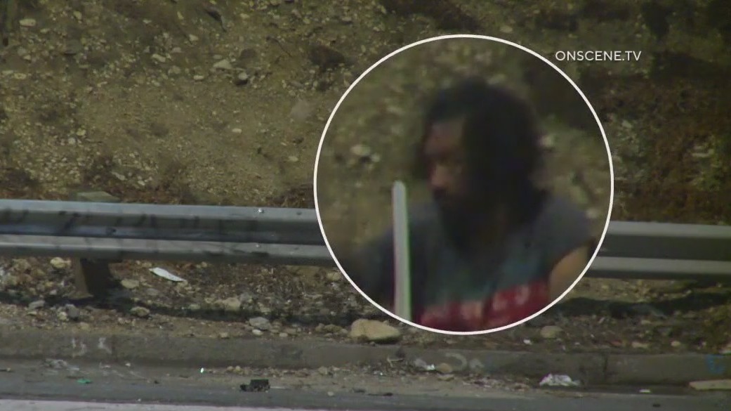 Man throws rocks on 110 Freeway in LA | FOX 11 Los Angeles