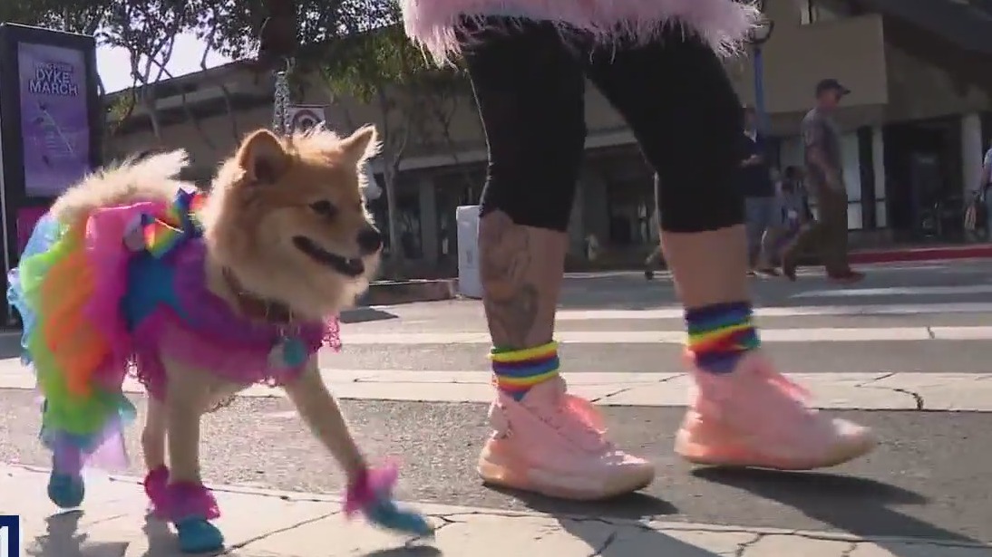 Party continues in Day 2 of WeHo Pride | FOX 11 Los Angeles