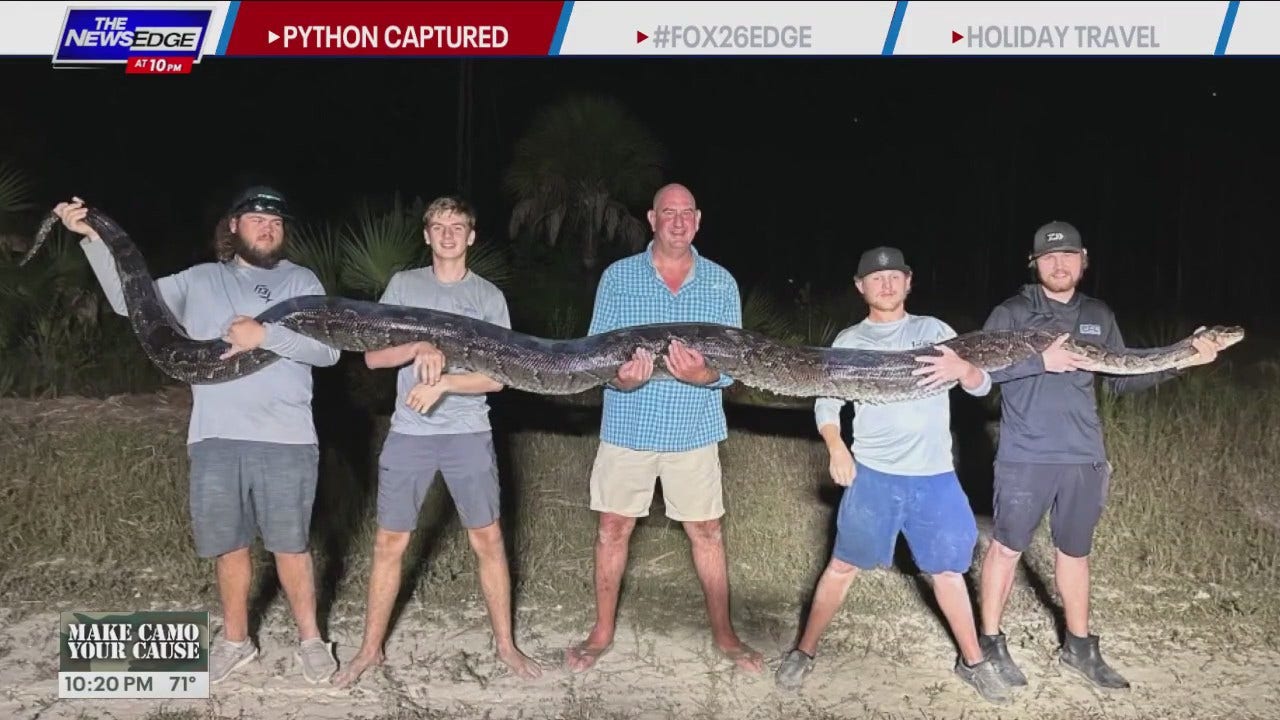 Team captures second-heaviest Burmese Python | FOX 26 Houston