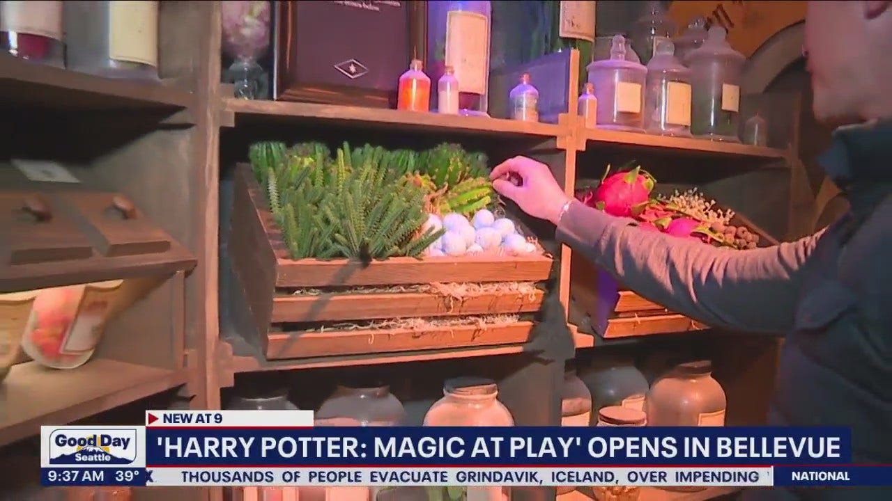 Harry Potter experience now open in Bellevue | FOX 13 Seattle