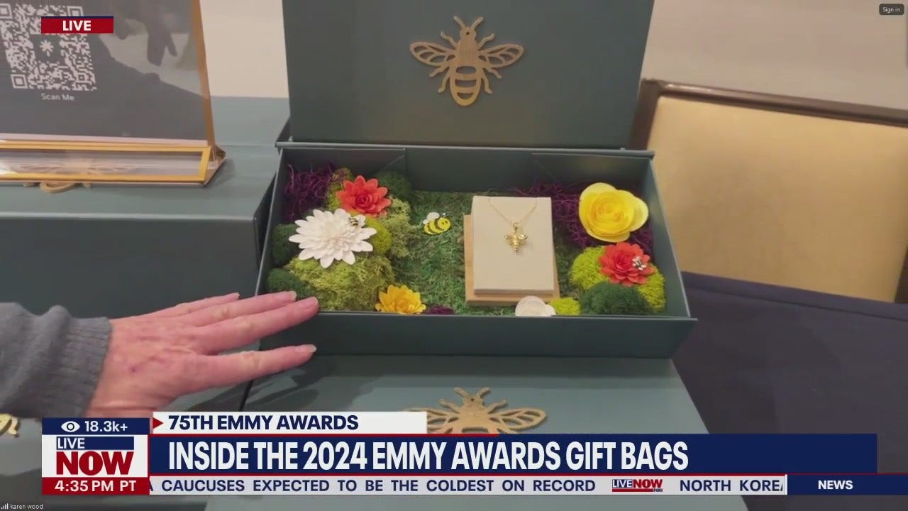 Inside the 2024 Emmy Awards gift bags | LiveNOW from FOX
