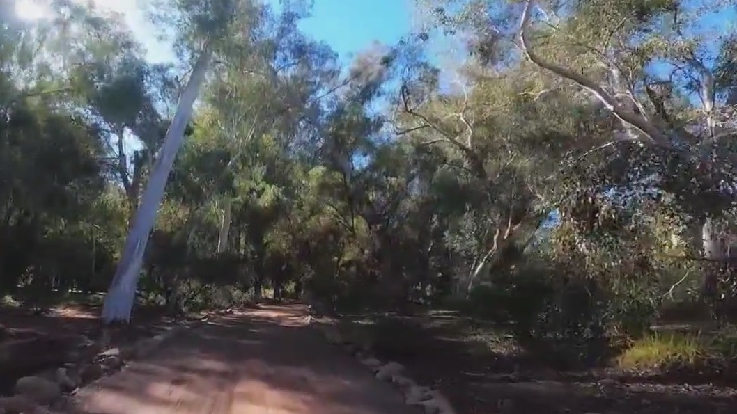 Celebrating 100 years: The Boyce Thompson Arboretum | FOX 10 Phoenix