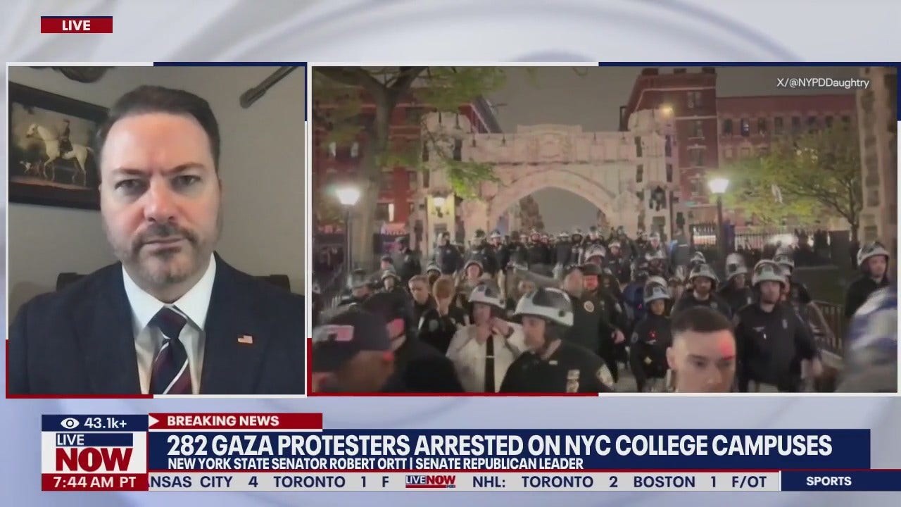 NY State Senator Robert Ortt on Gaza protests | LiveNOW from FOX