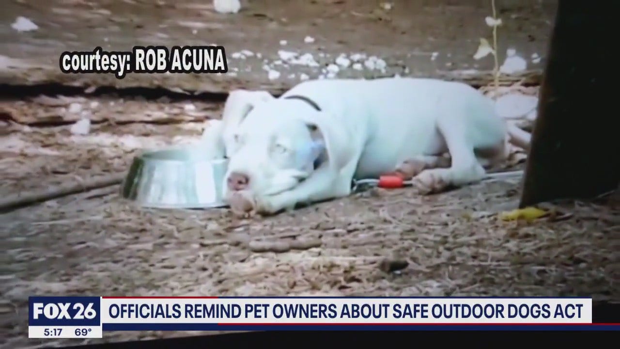 Safe Outdoor Dogs Act' tells reminds of responsibilities | FOX 26 Houston