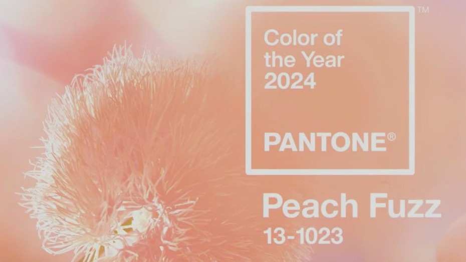 Pantone Color of the Year | FOX 5 Atlanta