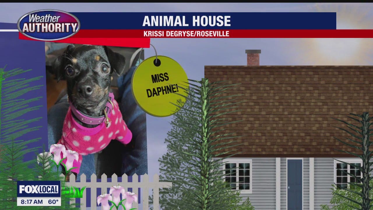 Welcome Miss Daphne | FOX 2 Detroit