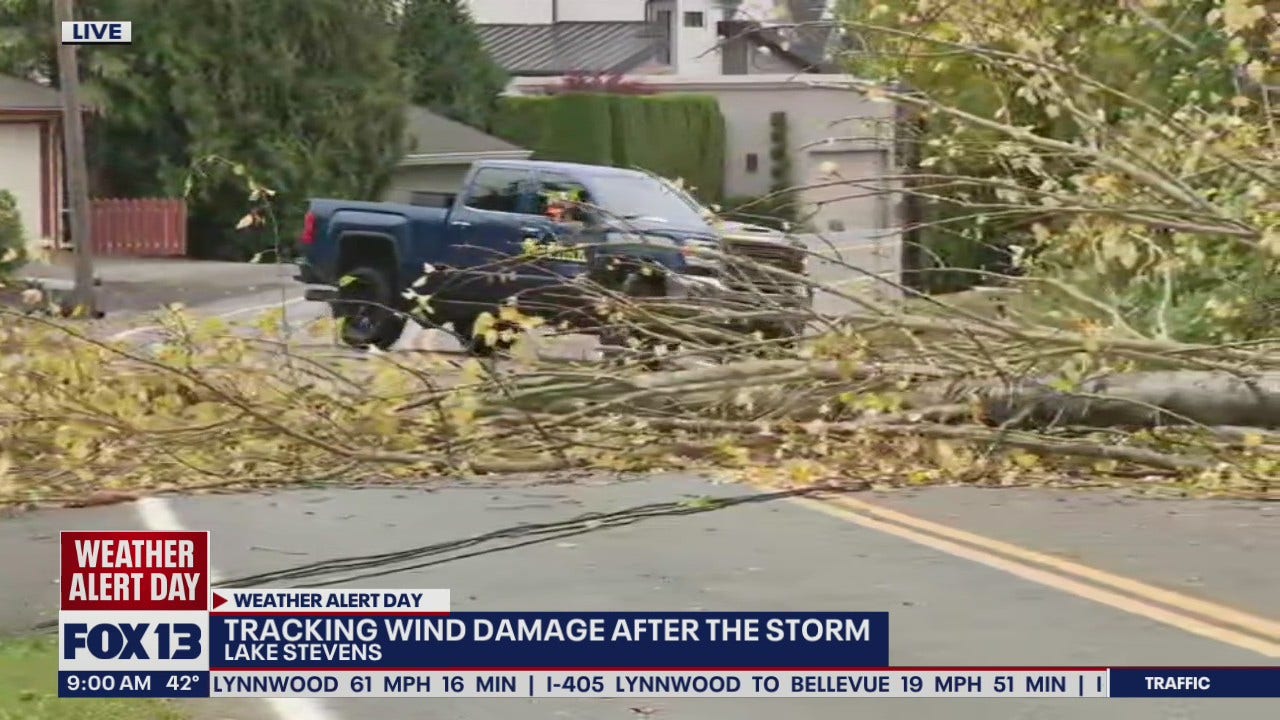 Tracking wind damage after severe storm in Puget Sound | FOX 13 Seattle