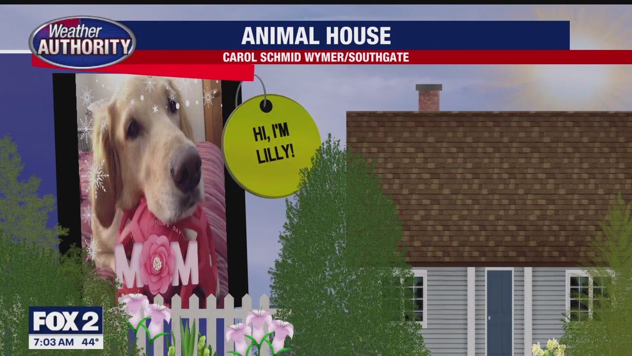 Welcome Lilly | FOX 2 Detroit