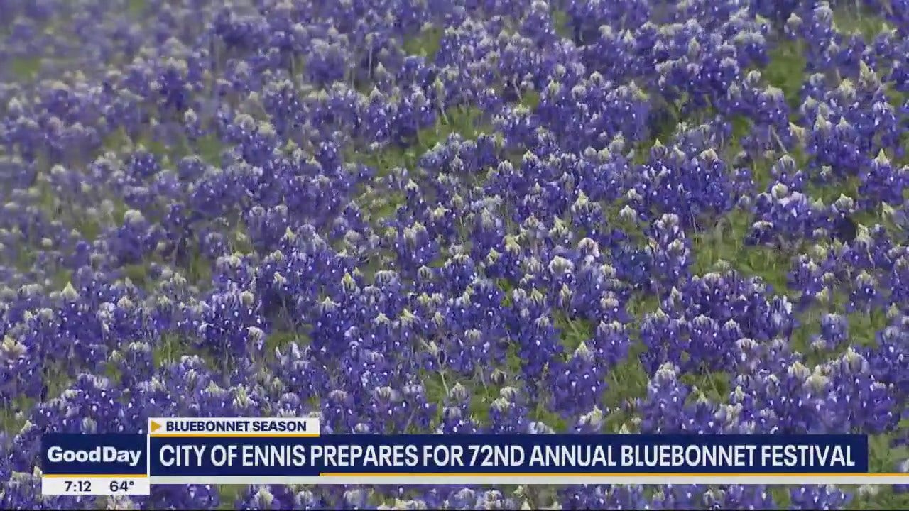 Ennis prepares for annual bluebonnet festival | FOX 4 Dallas-Fort Worth