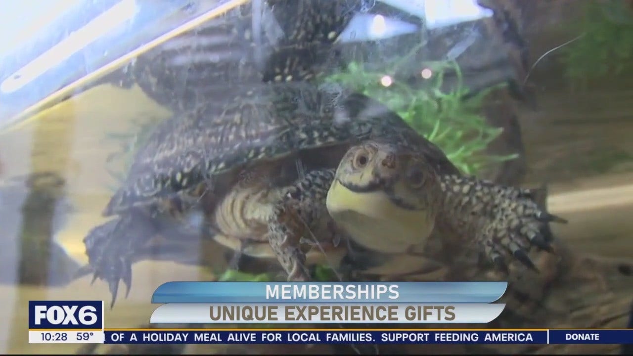 Gifting Unique Experiences | FOX6 Milwaukee