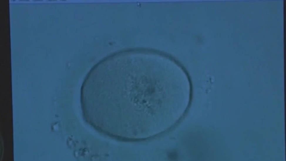 Alabama IVF ruling fallout | FOX 5 Atlanta