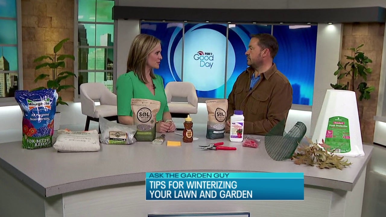 Good Day on All Day | FOX 9 Minneapolis-St. Paul