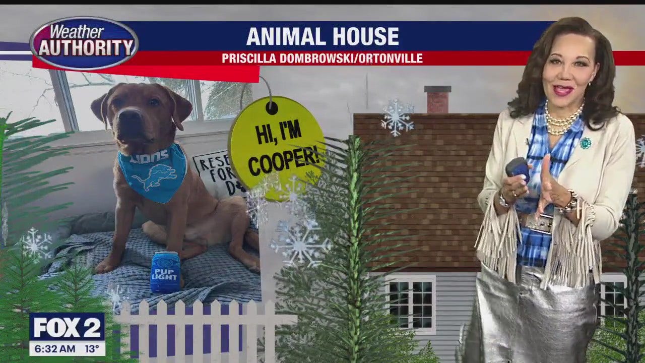 Meet Cooper | FOX 2 Detroit