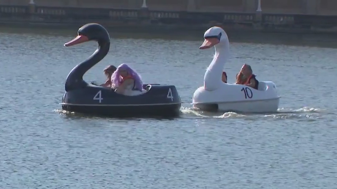 17th annual Lakeland Swan Derby | FOX 13 Tampa Bay