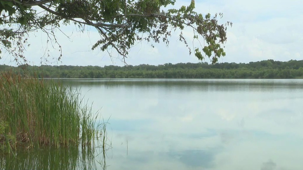 Restoring water quality in Lake Bonnet | FOX 13 Tampa Bay