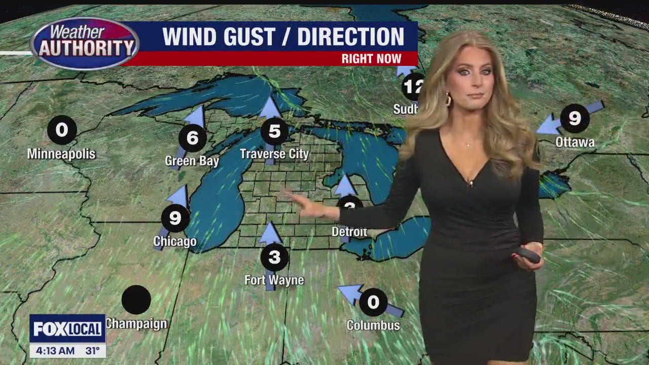 Breezy and mild day! | FOX 2 Detroit