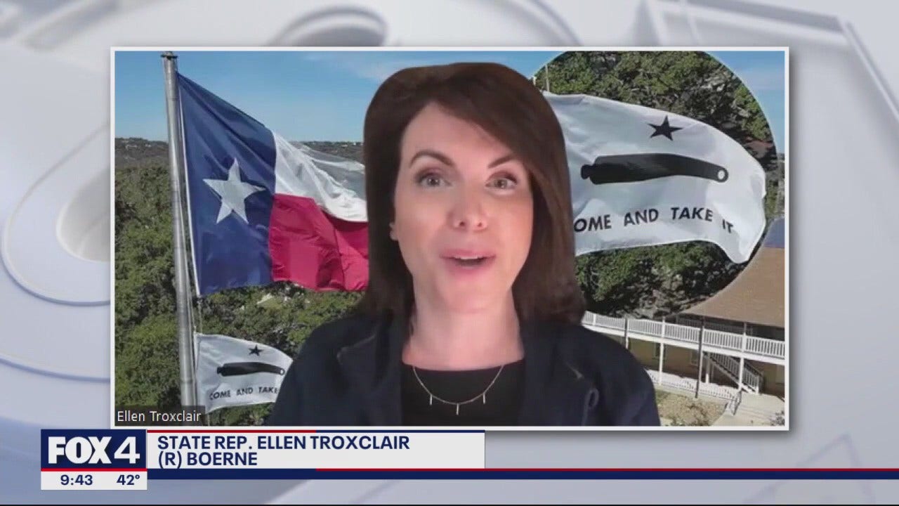 Texas: The Issue Is - State Rep. Ellen Troxclair on border issues | FOX ...