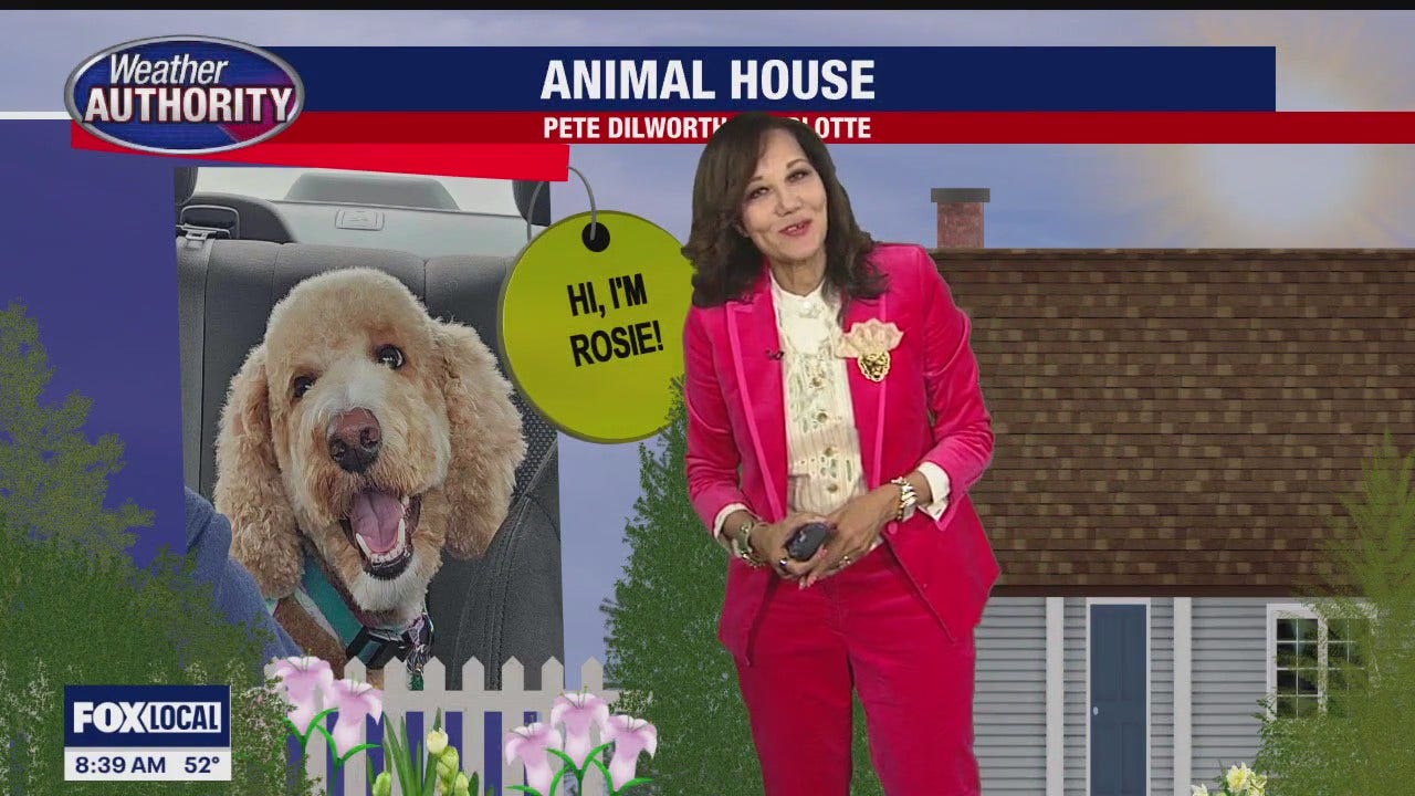 Welcome Rosie | FOX 2 Detroit