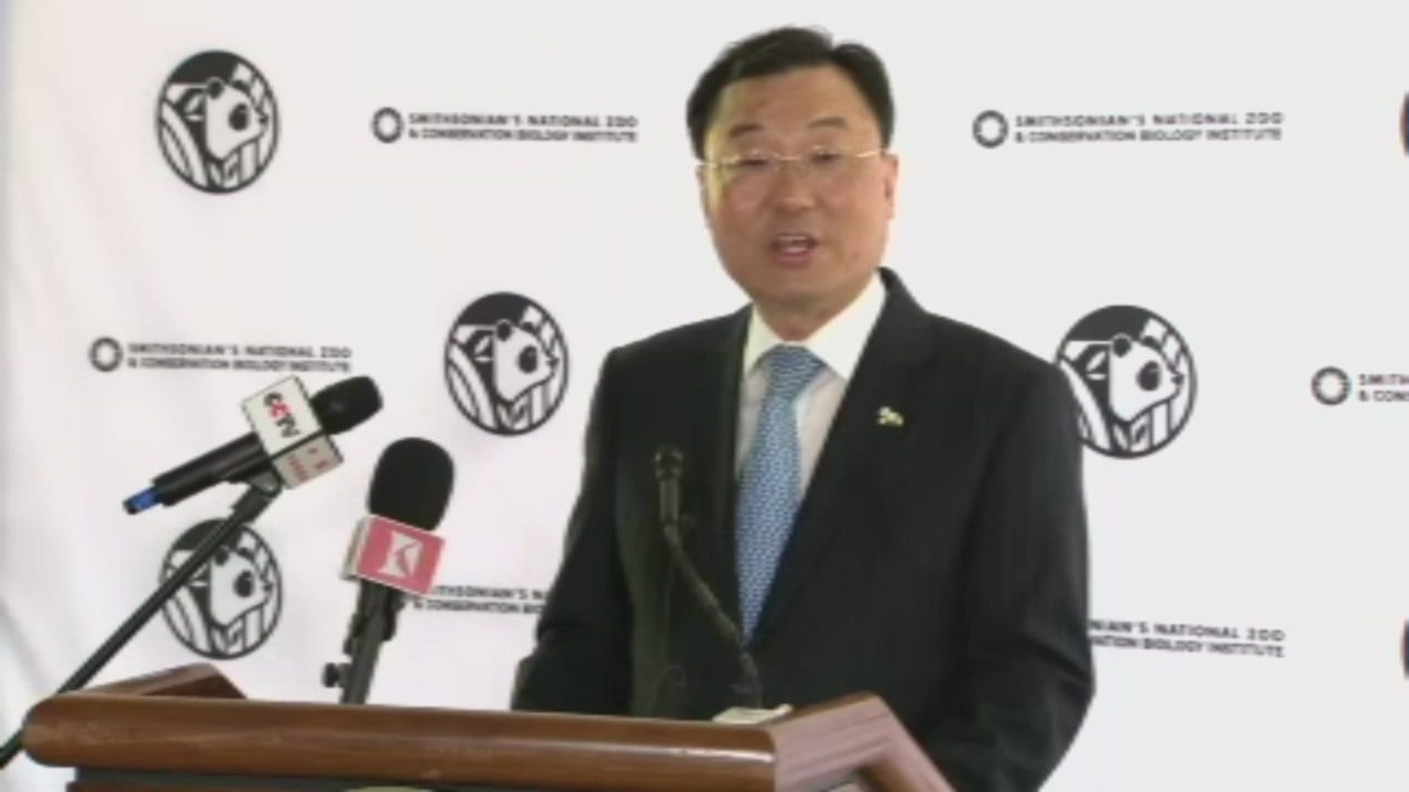 2 New Pandas Coming to DC’s National Zoo | FOX 5 DC