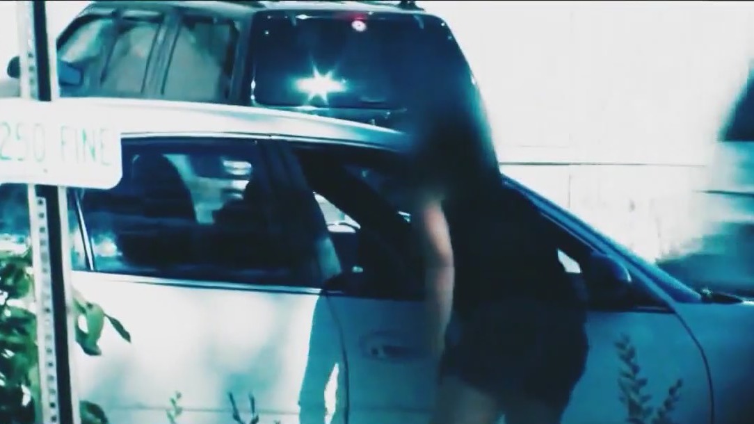 Cook County aims to help human trafficking, domestic violence survivors ...