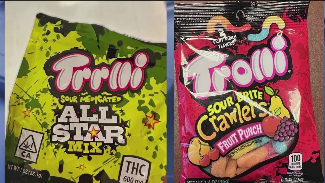 Can you spot the candy versus the THC gummies? | FOX 5 Atlanta