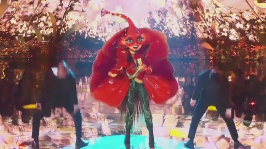 The Masked Singer' Hibiscus is Luann De Lesseps | FOX 26 Houston