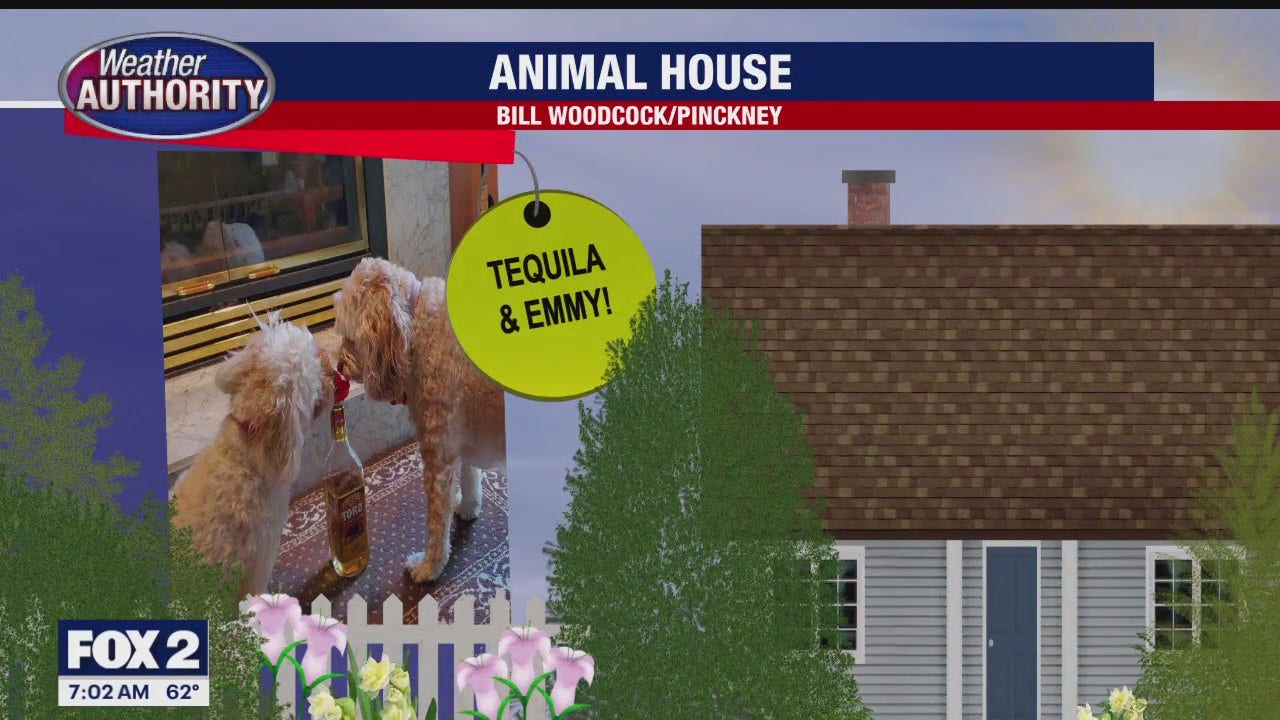 Welcome Tequila & Emmy | FOX 2 Detroit