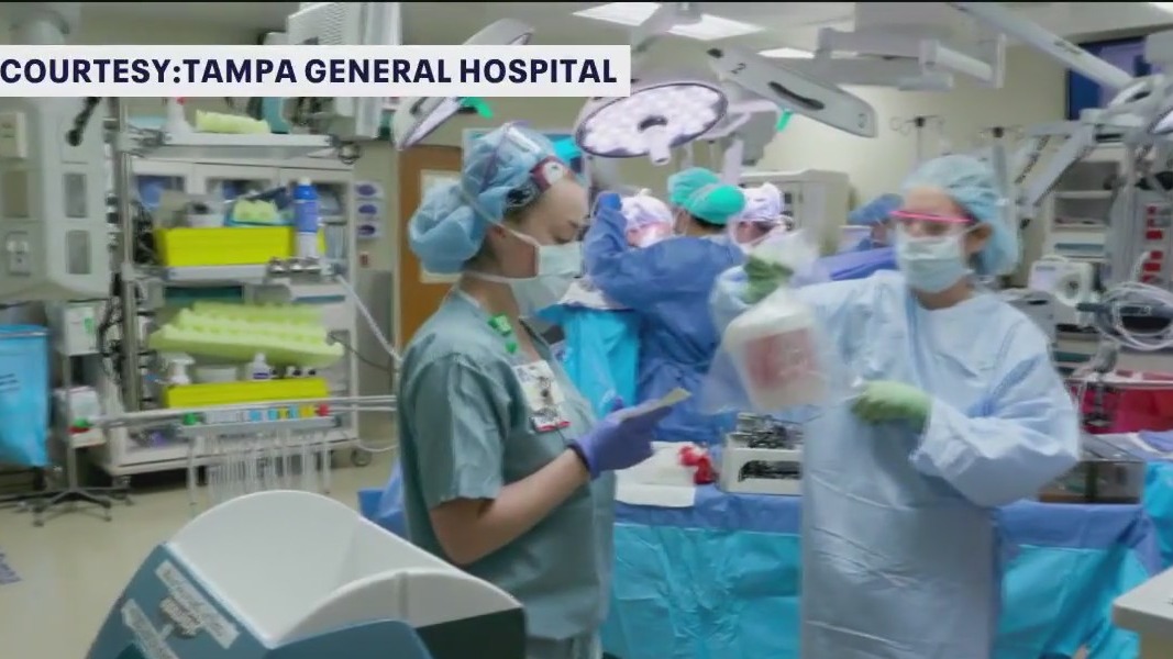 TGH sets transplant record | FOX 13 Tampa Bay