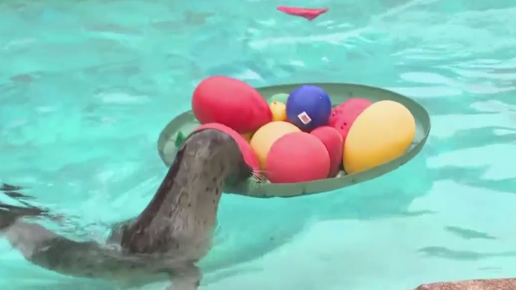 Easter fun at the Milwaukee County Zoo | FOX6 Milwaukee