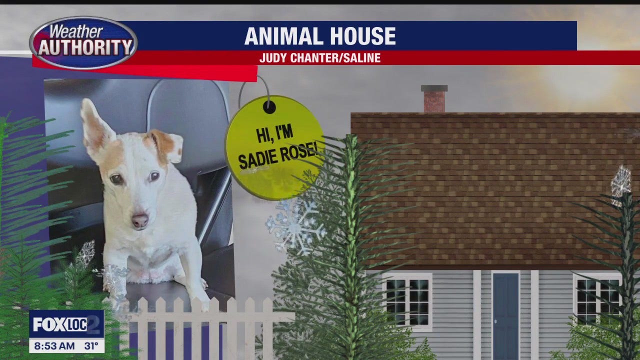 Meet Sadie Rose | FOX 2 Detroit