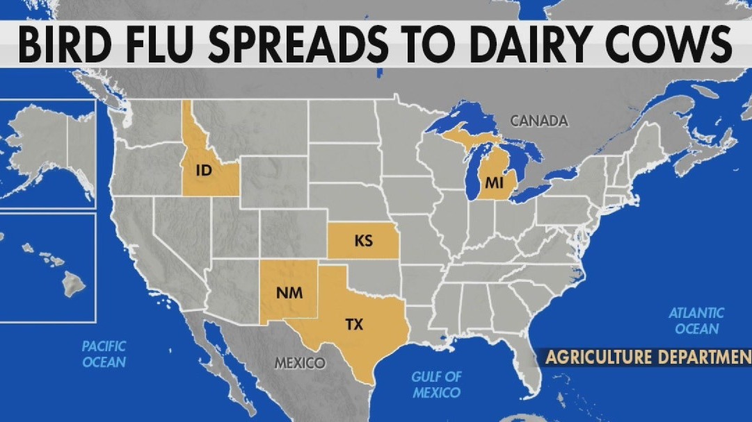 Bird Flu alert issued by CDC after outbreak | FOX 26 Houston