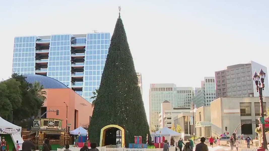 Holiday tree-lighting ceremonies kick off across the Bay Area | KTVU FOX 2