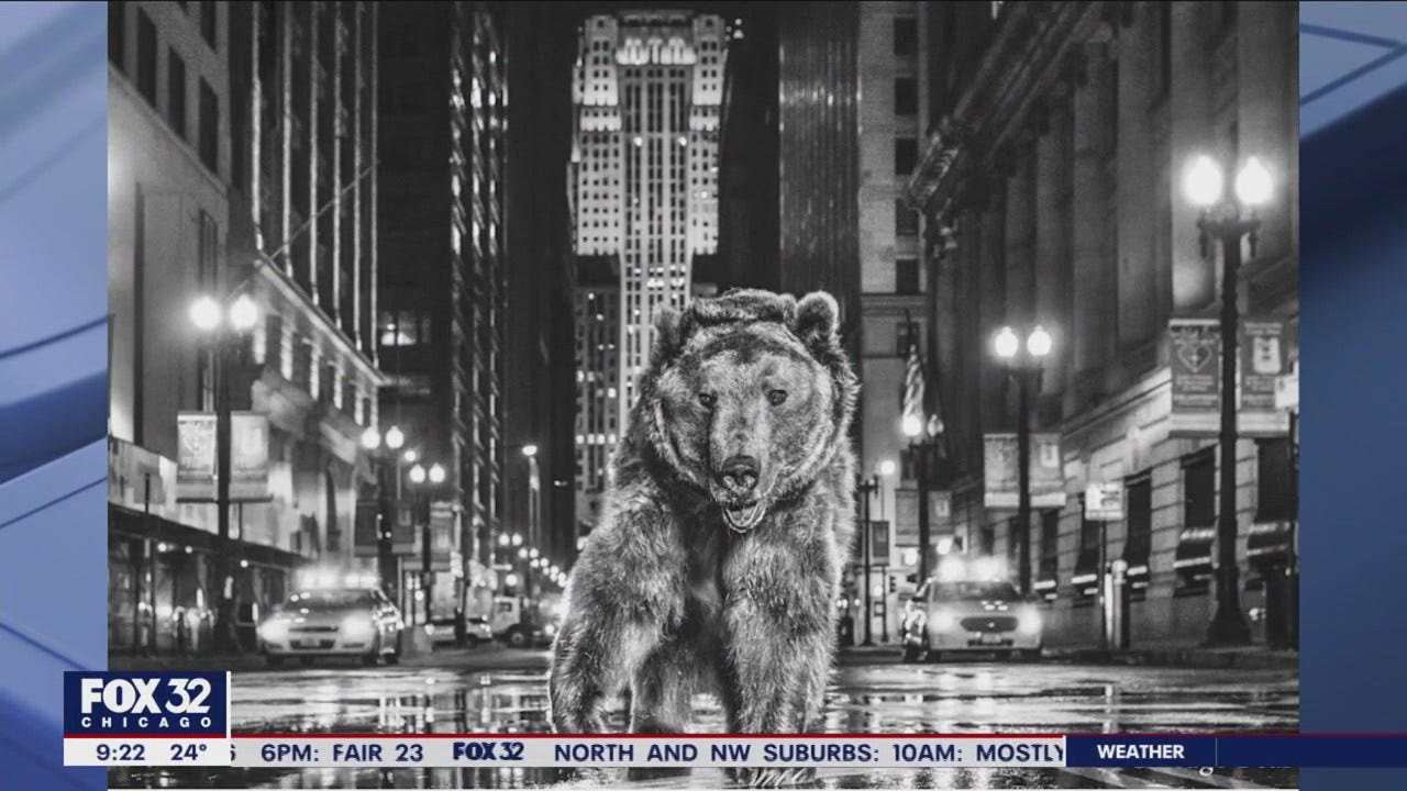 Renowned photographer David Yarrow links up with ALS United of Greater ...