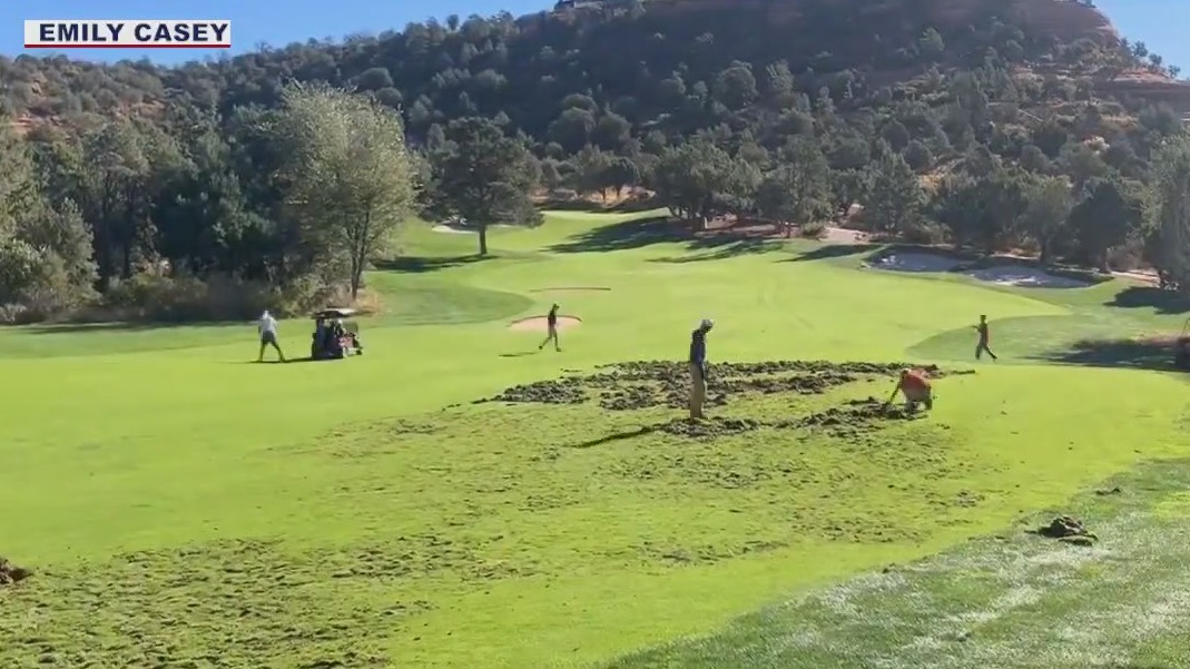 AZ golf course manager talks about javelina rampage | FOX 10 Phoenix