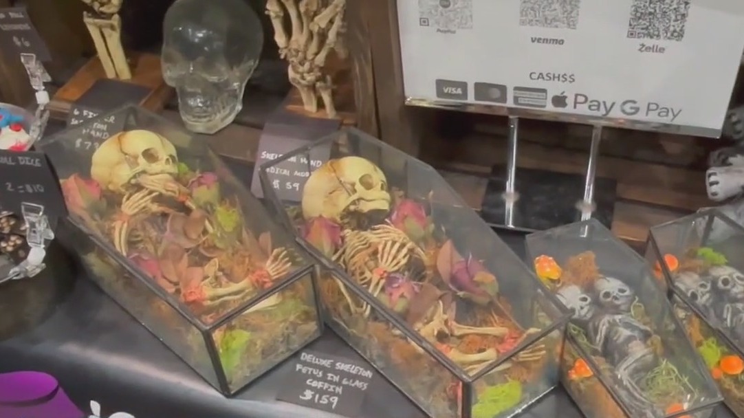 Los Angeles Oddities and Curiosities Expo | FOX 11 Los Angeles