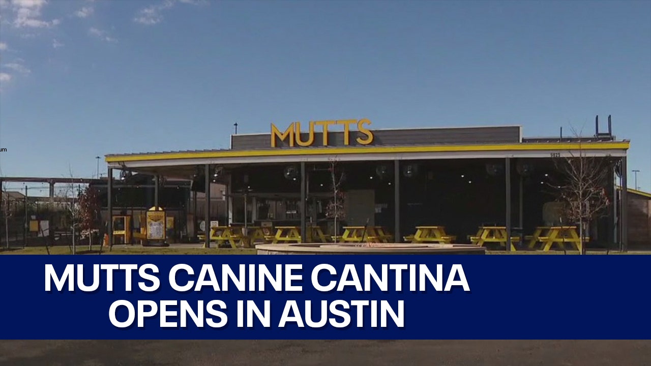 Mutts Canine Cantina | FOX 7 Austin